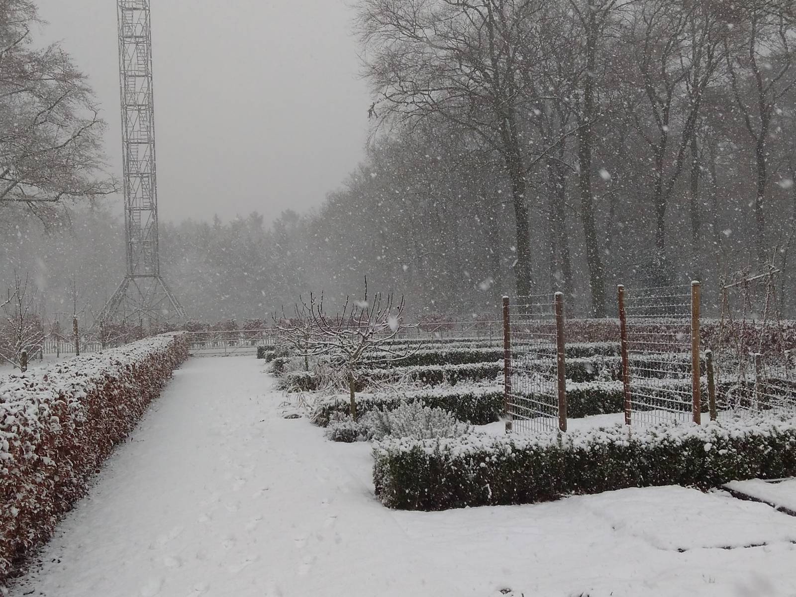 Amarant - Groenzorg Breda